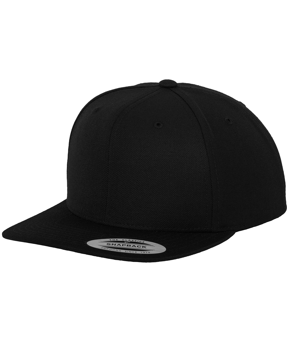 YP001 | The classic snapback (6089M) | Flexfit by Yupoong