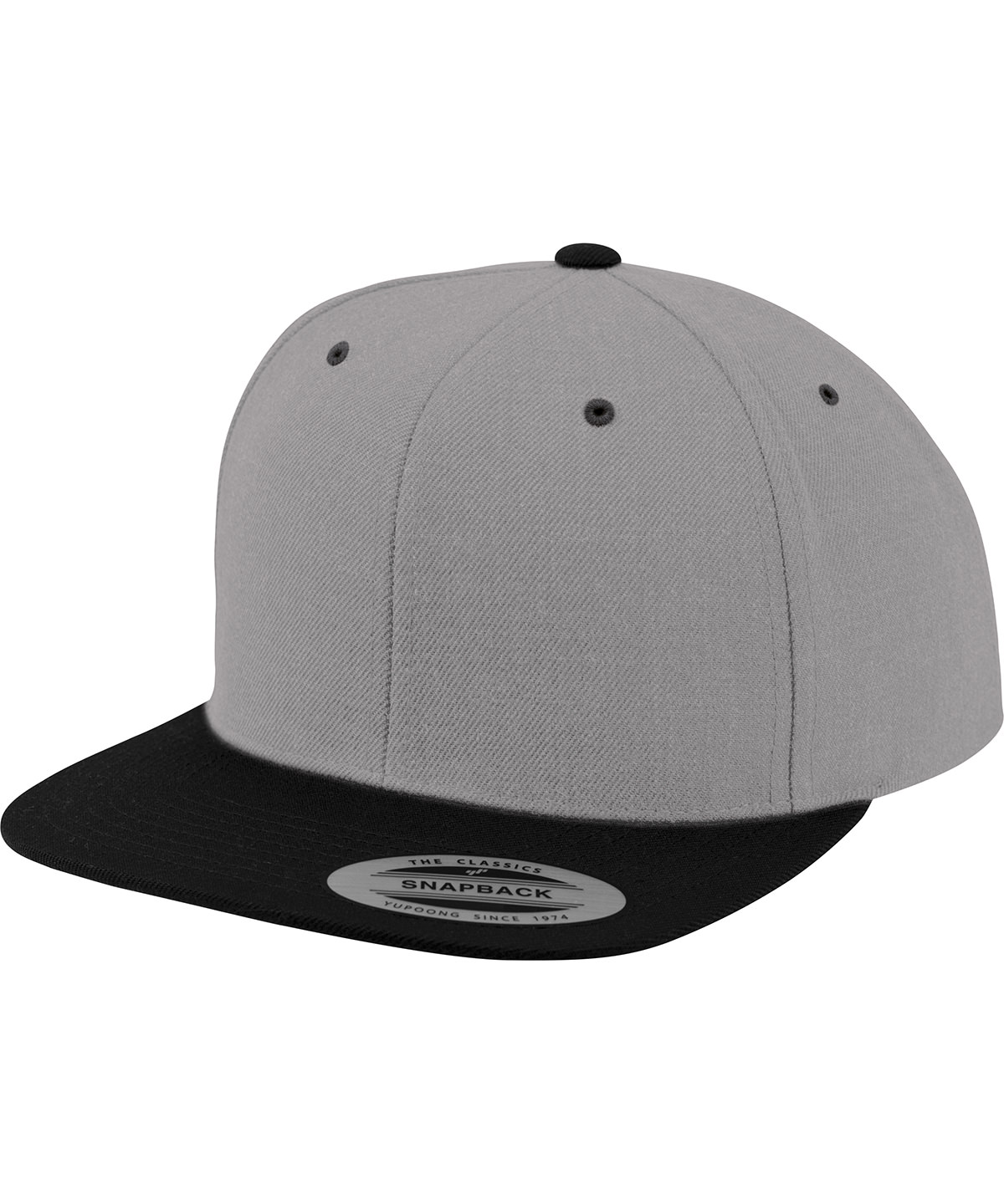 The classic snapback 2-tone (6089MT)