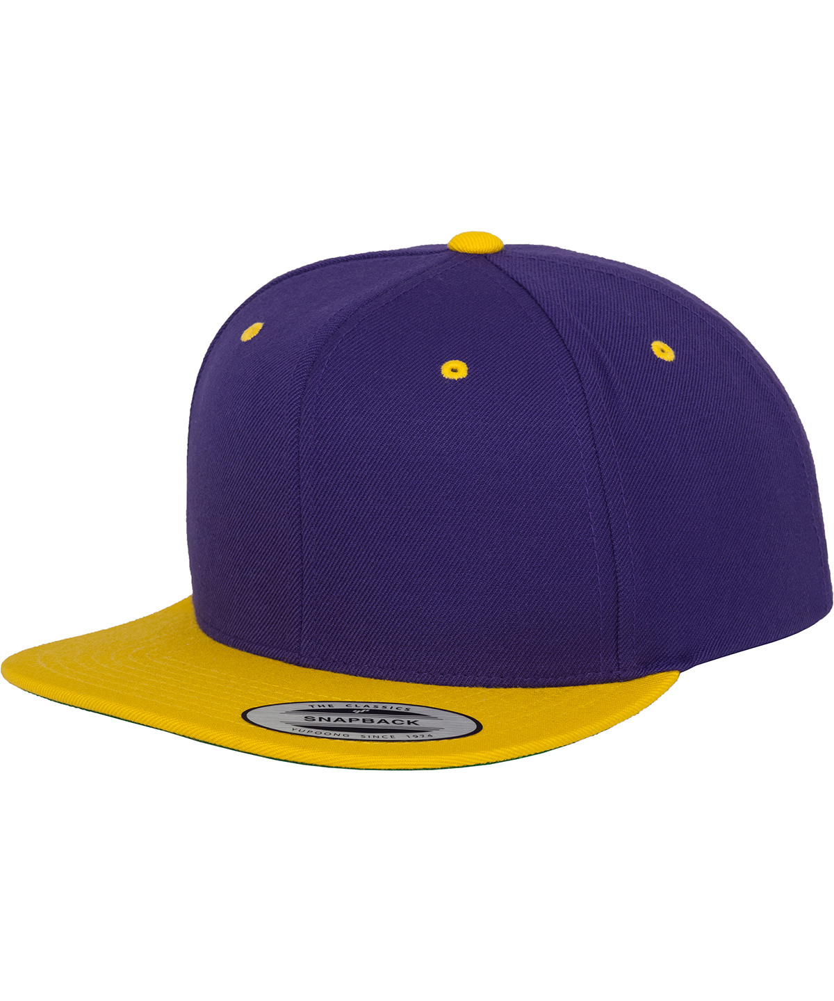 The classic snapback 2-tone (6089MT)